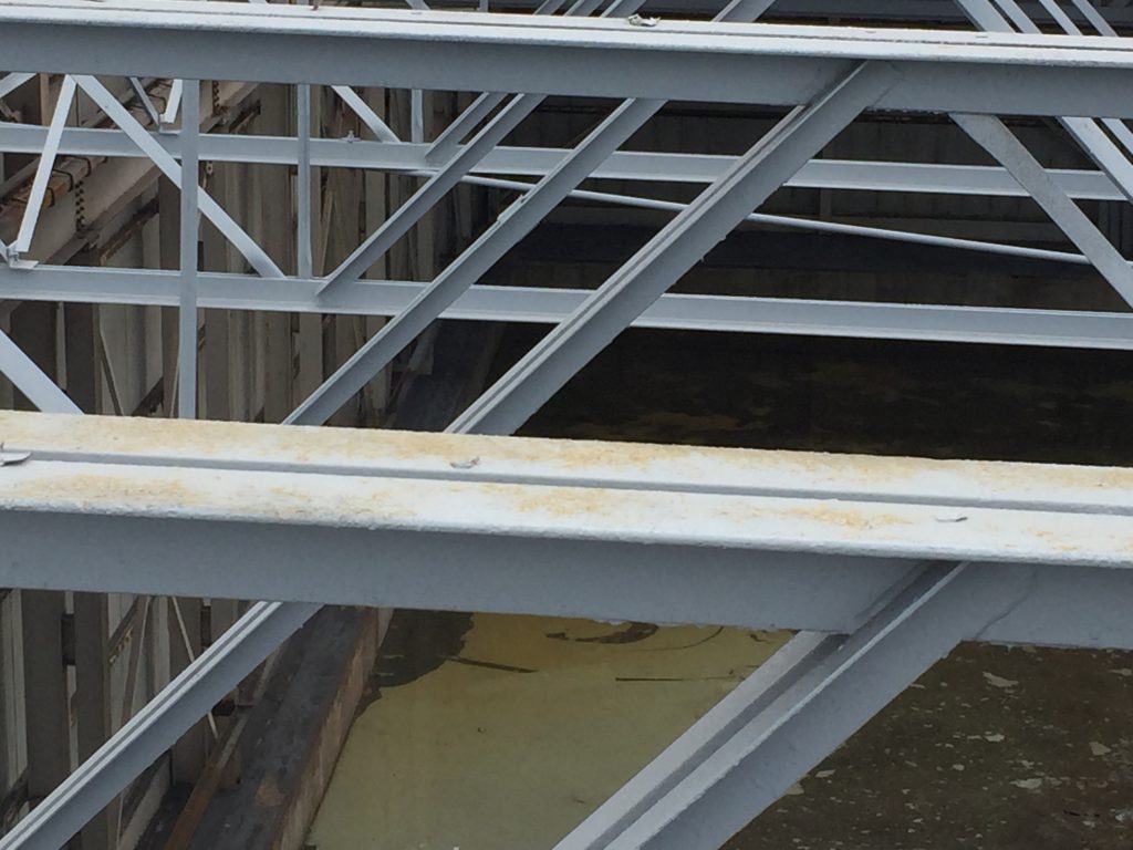 Dry Fall Painting Archives – Spray GenX LLC