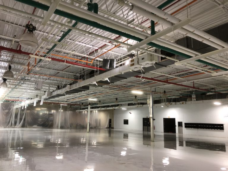 Commercial Dryfall Ceiling Painting - Dealership – Spray GenX LLC